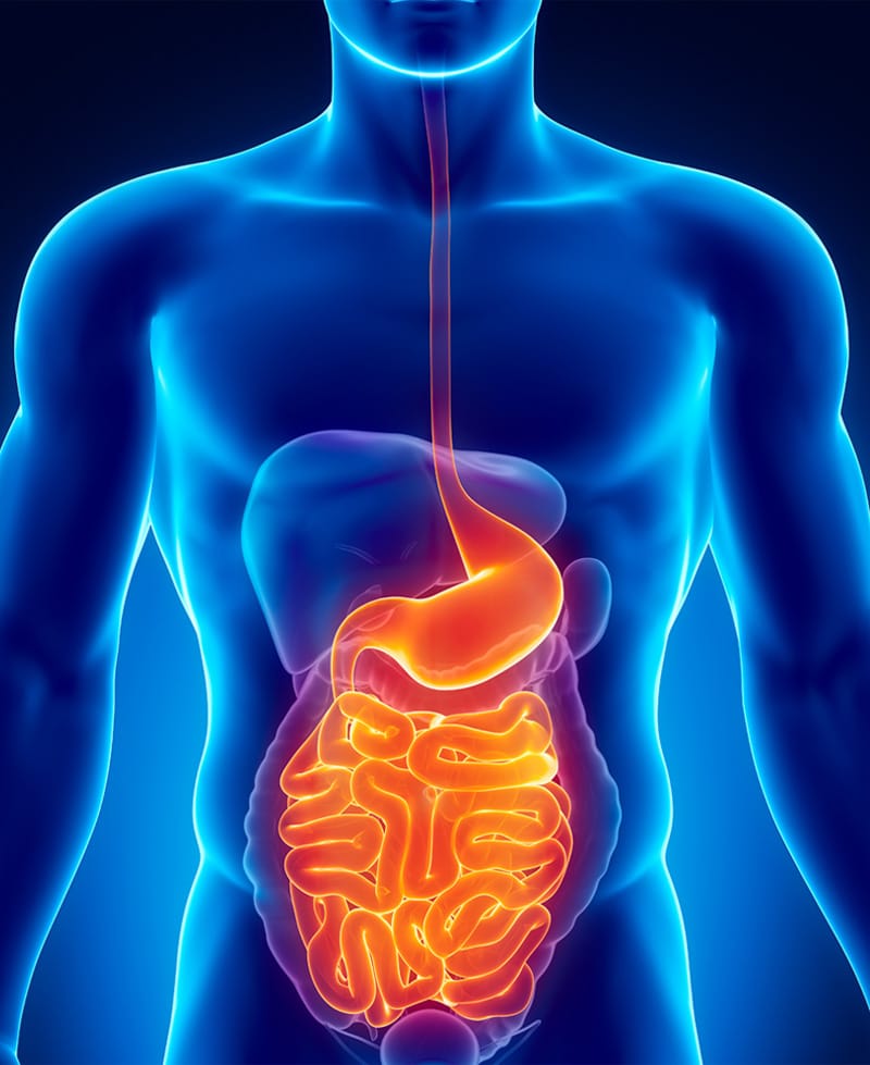 Υπηρεσίες - Γαστρεντερολόγος Ηπατολόγος | Πρέβεζα